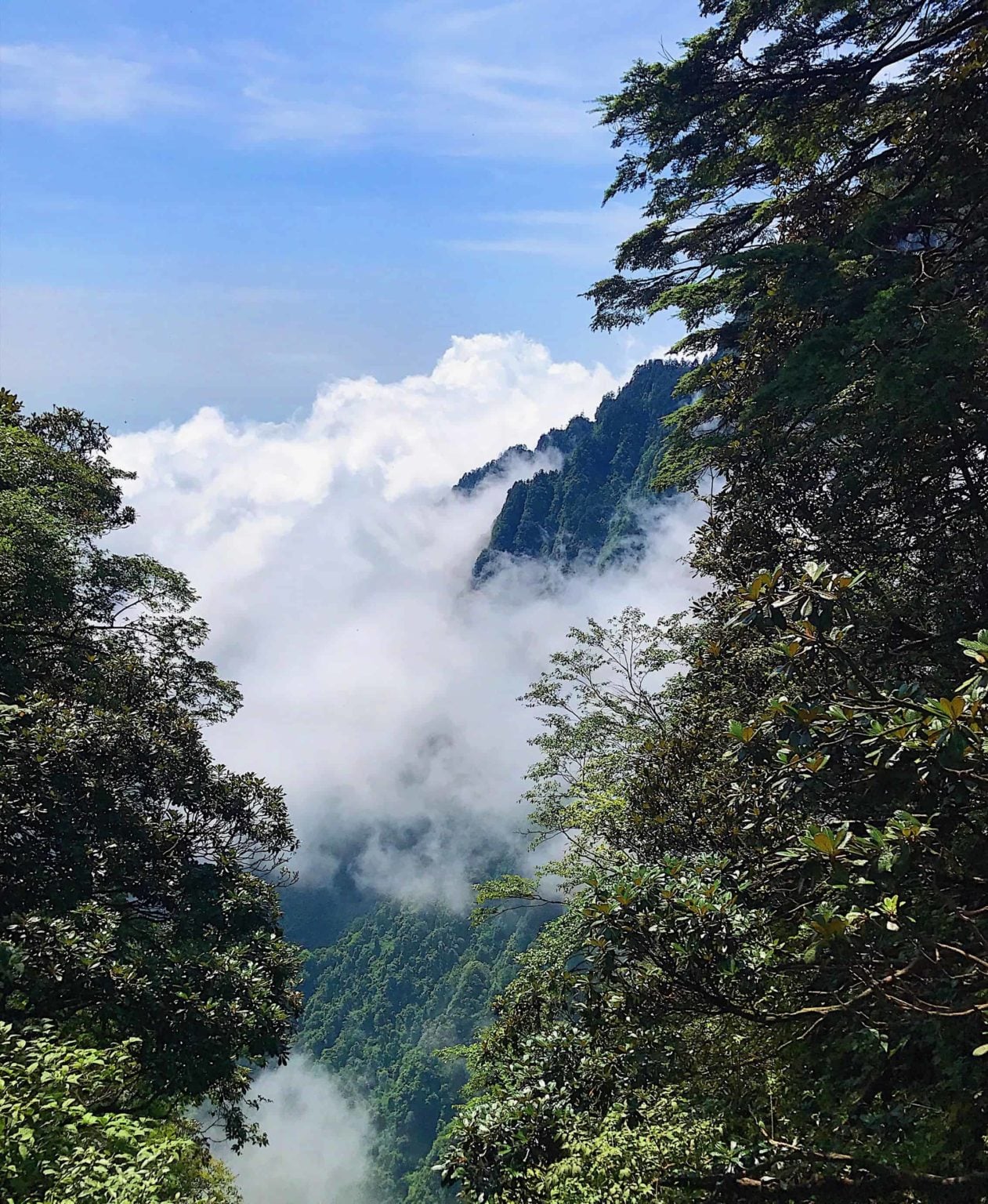 Mount Emei: Hiking Tips and Photos